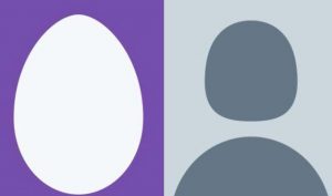 Twitter cracks down on anonymous "eggs" with new avatar - Netimperative